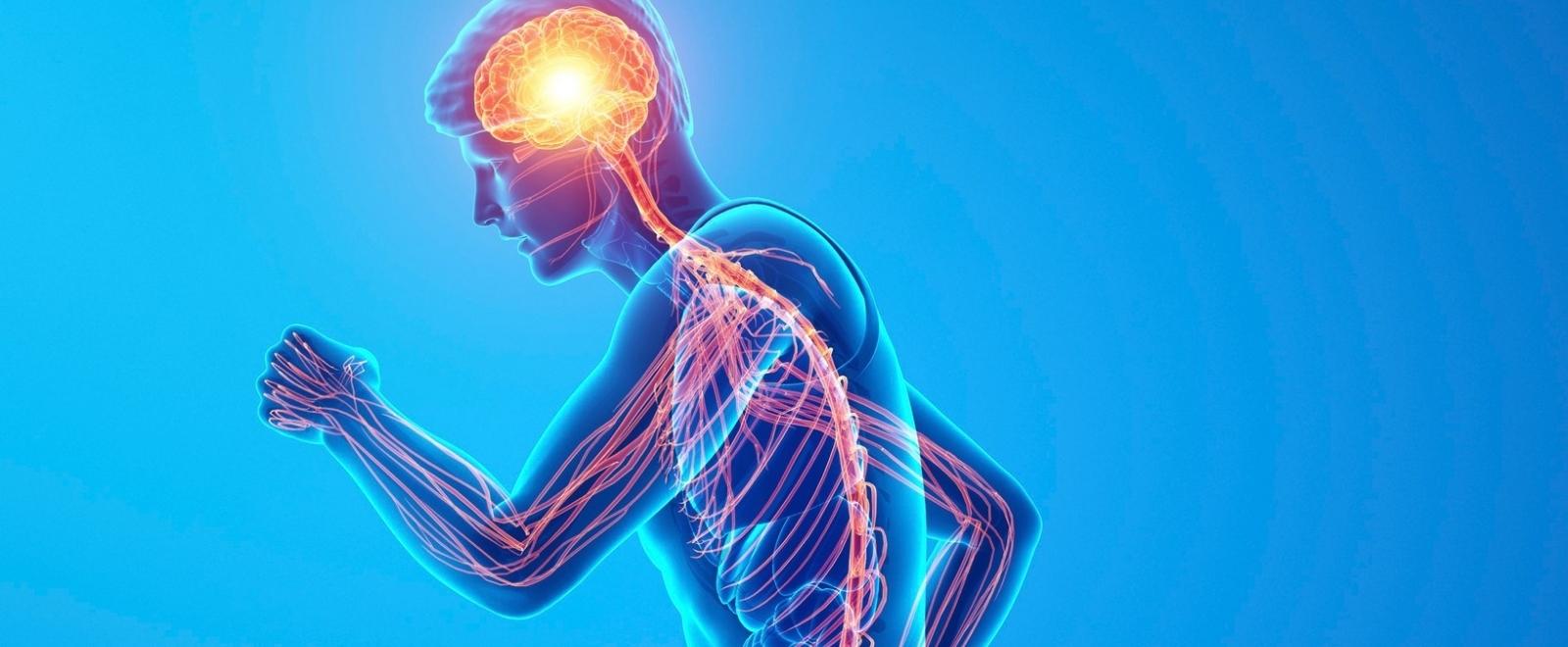 Neuroathletik: Trainingsmethode auch für Wanderer?